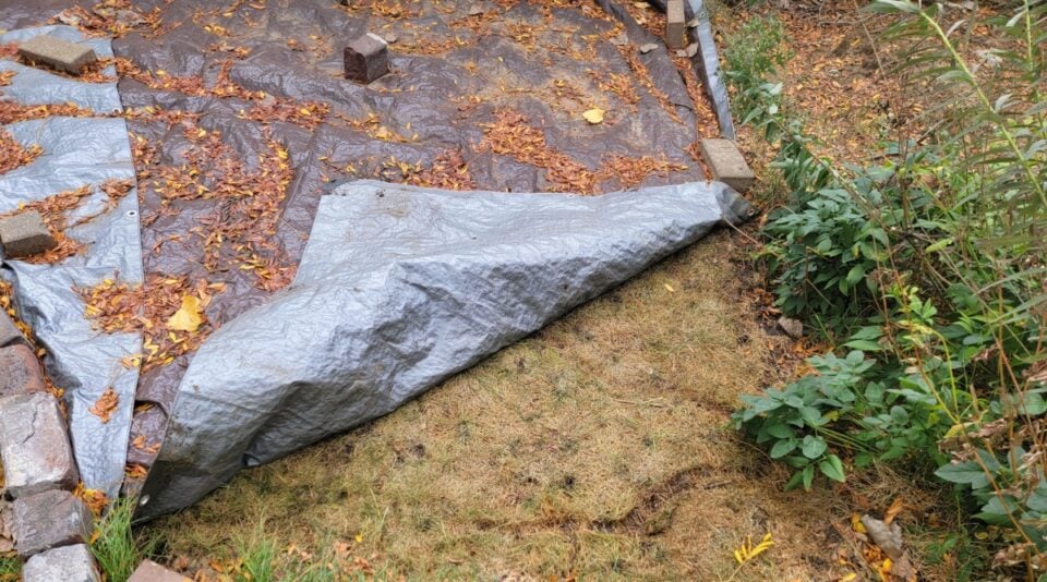 Occultation: 8 Ways to Use Tarp in the Garden
