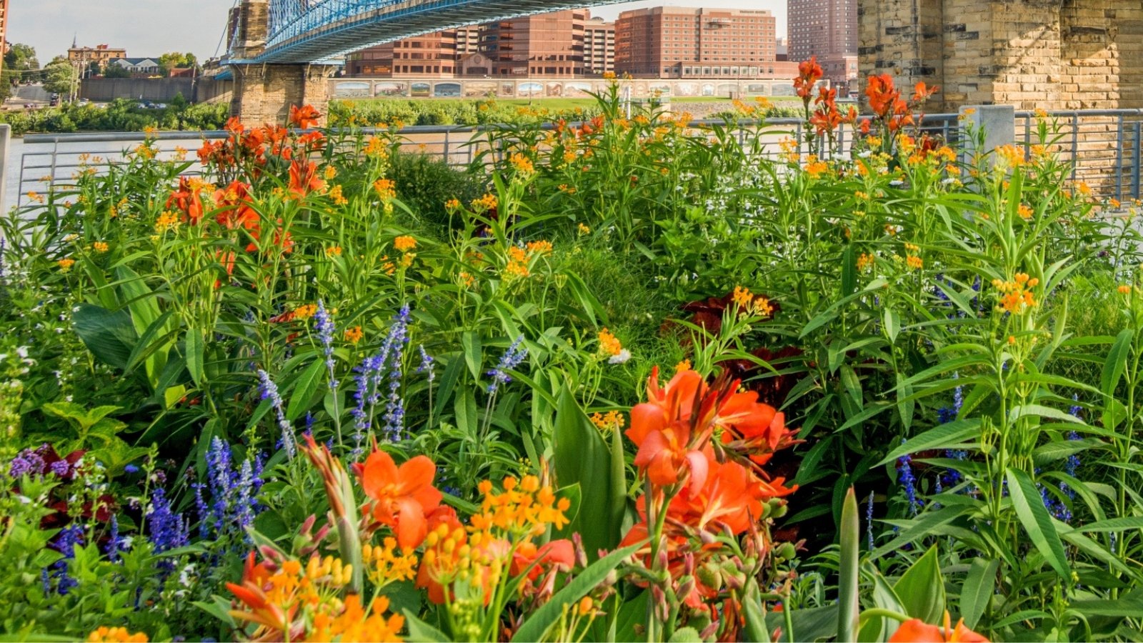 When to Start Seeds in Zone 6