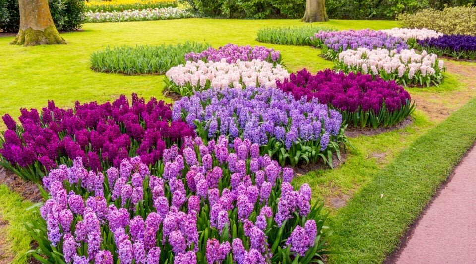 The Eight Basics of Landscape Design for a Beautiful Garden - Epic ...