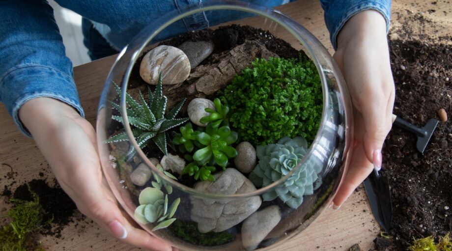 27 Beautiful Succulent Container Arrangements