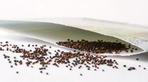 How to Read a Seed Packet