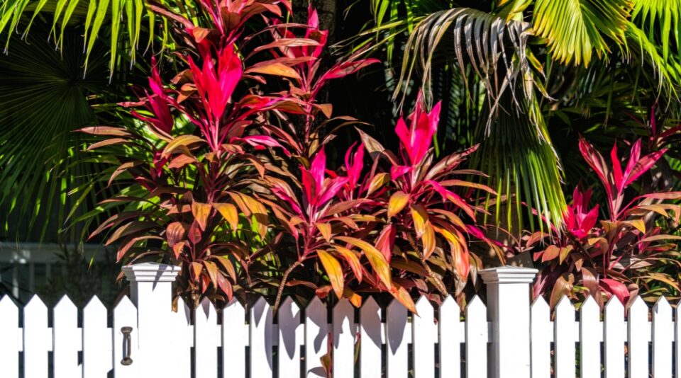 What Growing Zones Are in Florida?