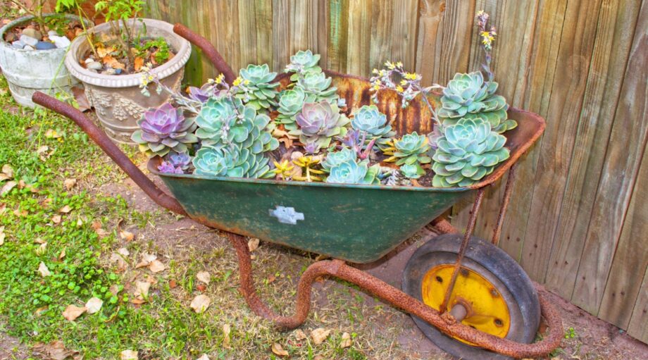 27 Beautiful Succulent Container Arrangements