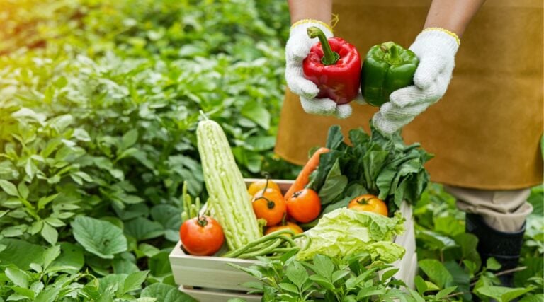 What Growing Zones Are in California?