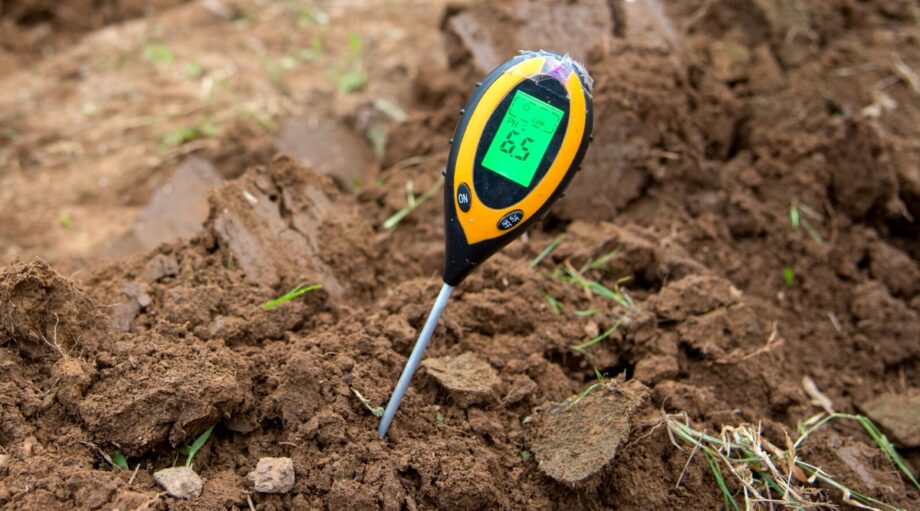 11 Gardening Tools and Supplies That Are a Waste of Money