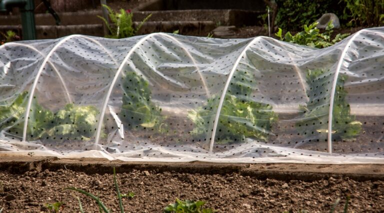 5 Ways to Start Gardening a Month Earlier