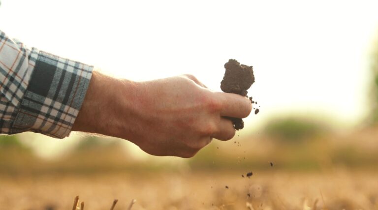 How to Identify Your Soil Type: Sand, Clay, Loam, and Silt Soils