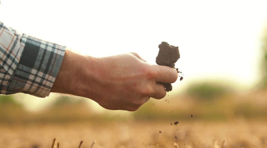 How to Identify Your Soil Type: Sand, Clay, Loam, and Silt Soils