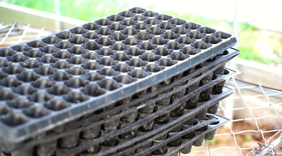 How to Sow Seeds in Cell Trays