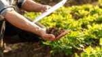 How to Identify Your Soil Type: Sand, Clay, Loam, and Silt Soils
