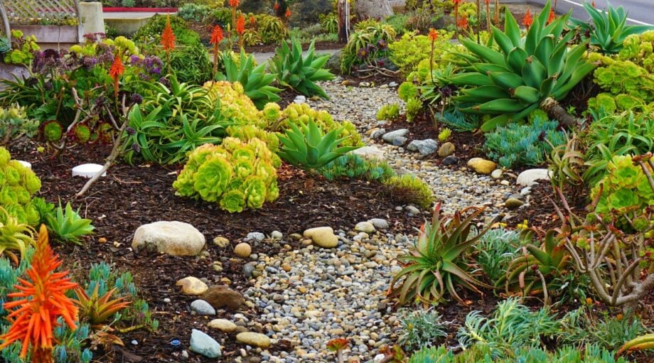 What Growing Zones Are in California?