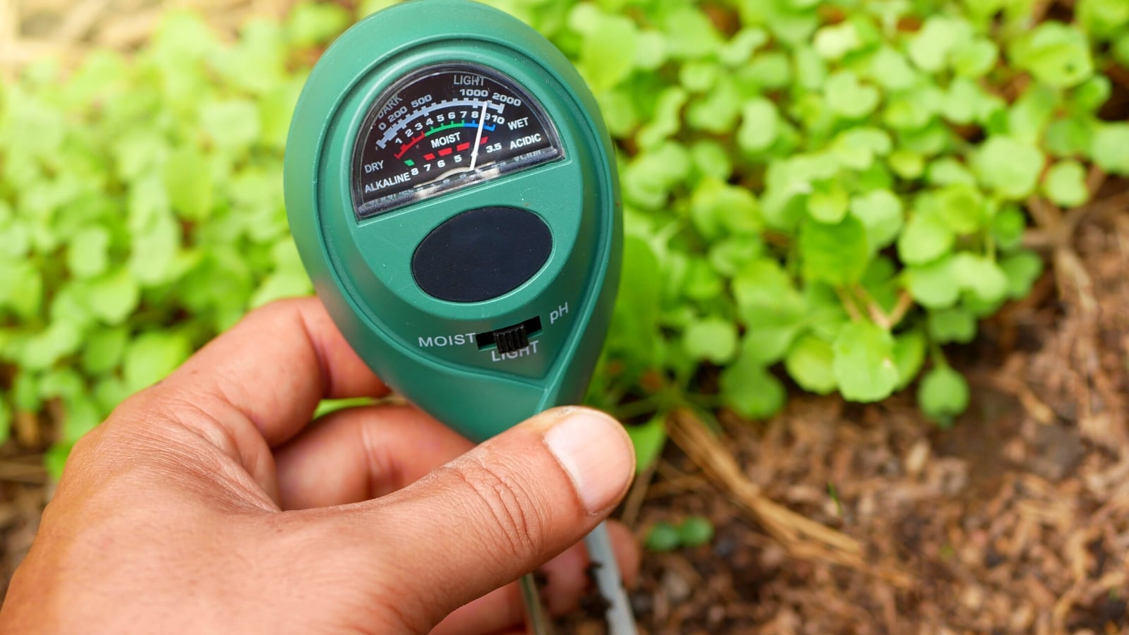 11 Gardening Tools and Supplies That Are a Waste of Money