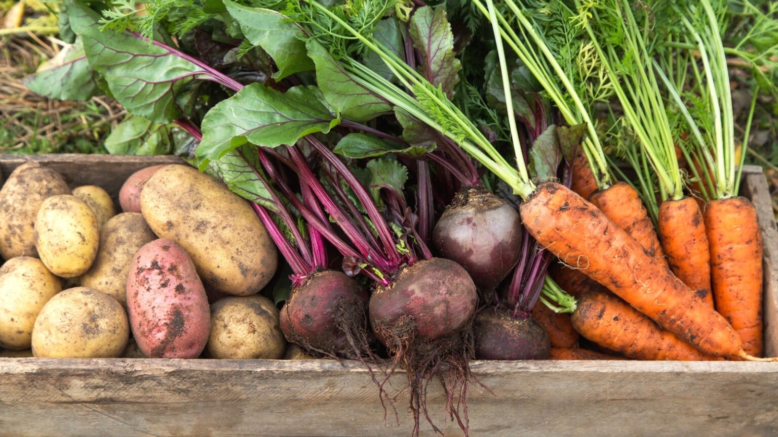13 Ways to Make the Most of Your Short Growing Season