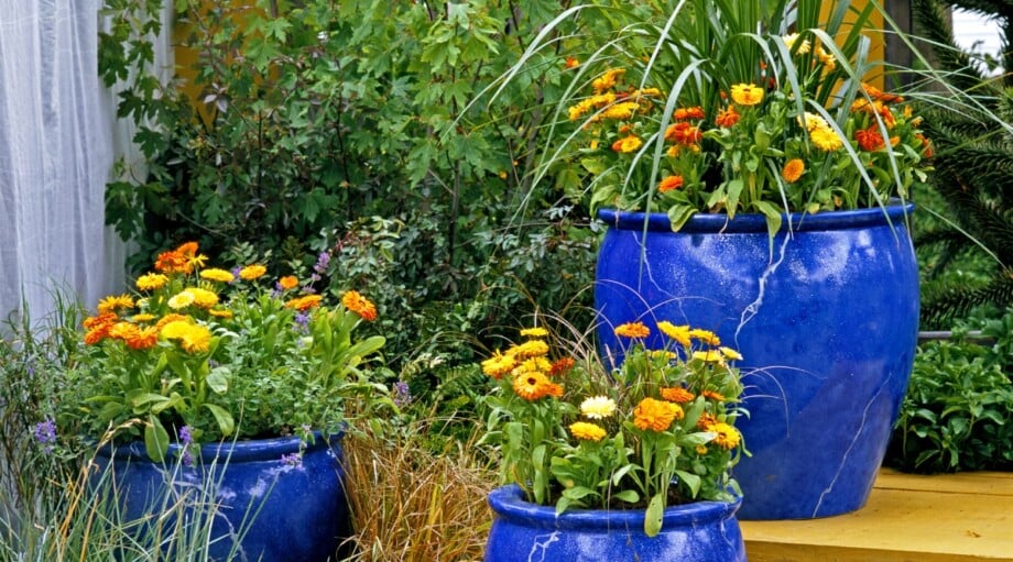 18 Beautiful Design Ideas for Small Gardens