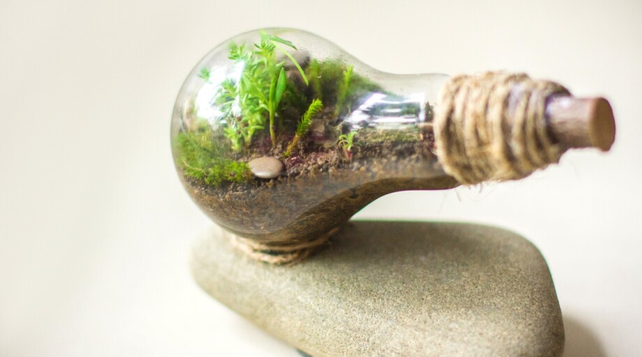 15 Unique Terrarium Design Ideas You Should Try