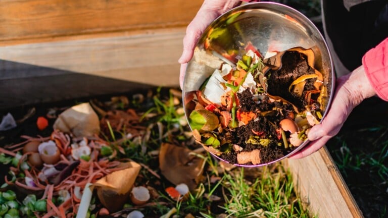 9 Easy Ways to Be More Sustainable in the Garden