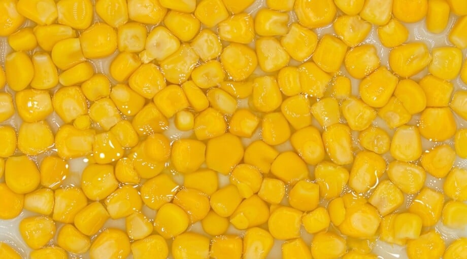 13 Seeds You Should Soak Before Planting