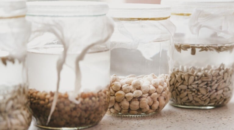 13 Seeds You Should Soak Before Planting