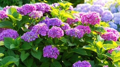27 Gorgeous Plants For Your Woodland Garden