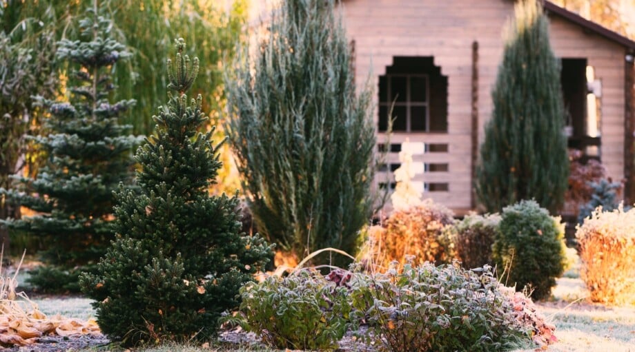 15 Garden Design Ideas that Boost Curb Appeal