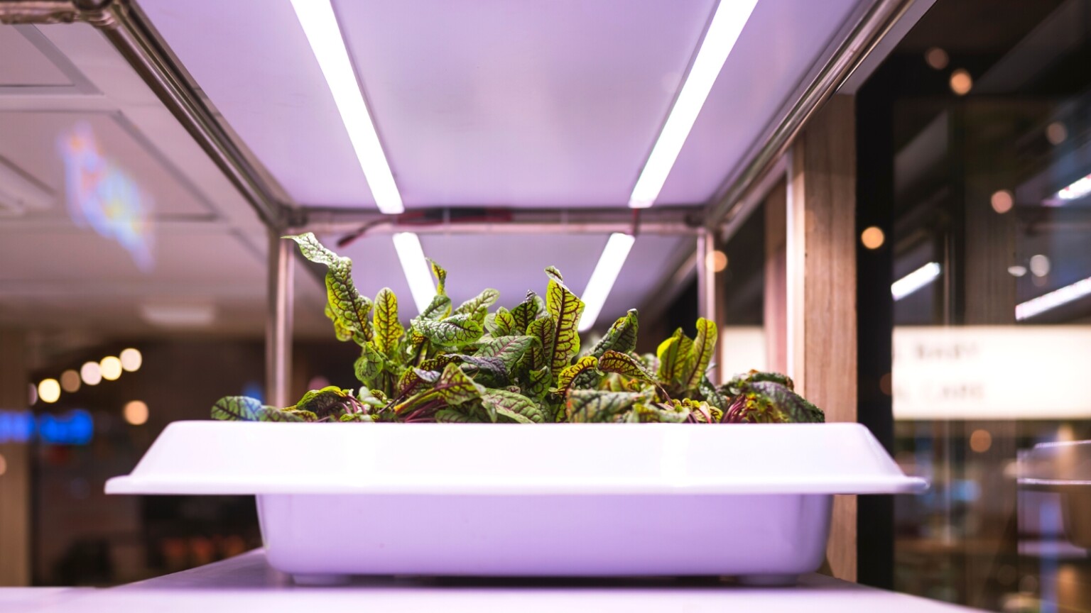 13 Ways to Make the Most of Your Short Growing Season