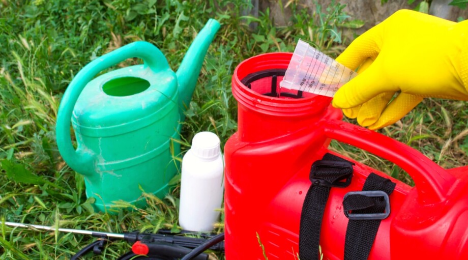 Kaolin Clay in the Garden: Natural Pest Control