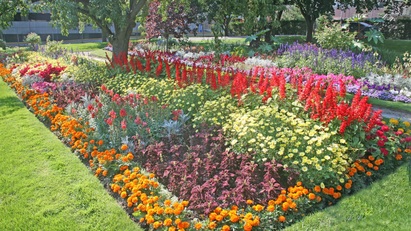 19 Annual Flower Bed Combinations that Look Great Together