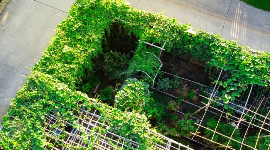 18 Beautiful Design Ideas for Small Gardens