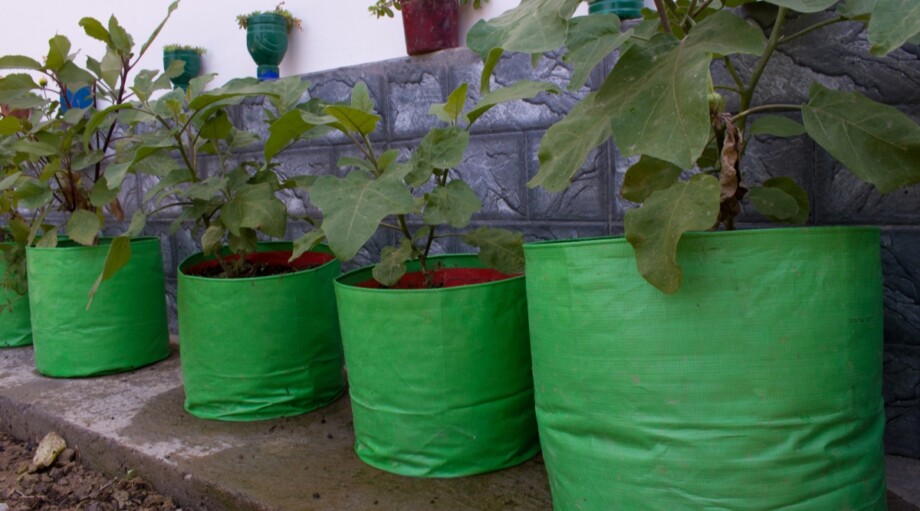 18 Beautiful Design Ideas for Small Gardens