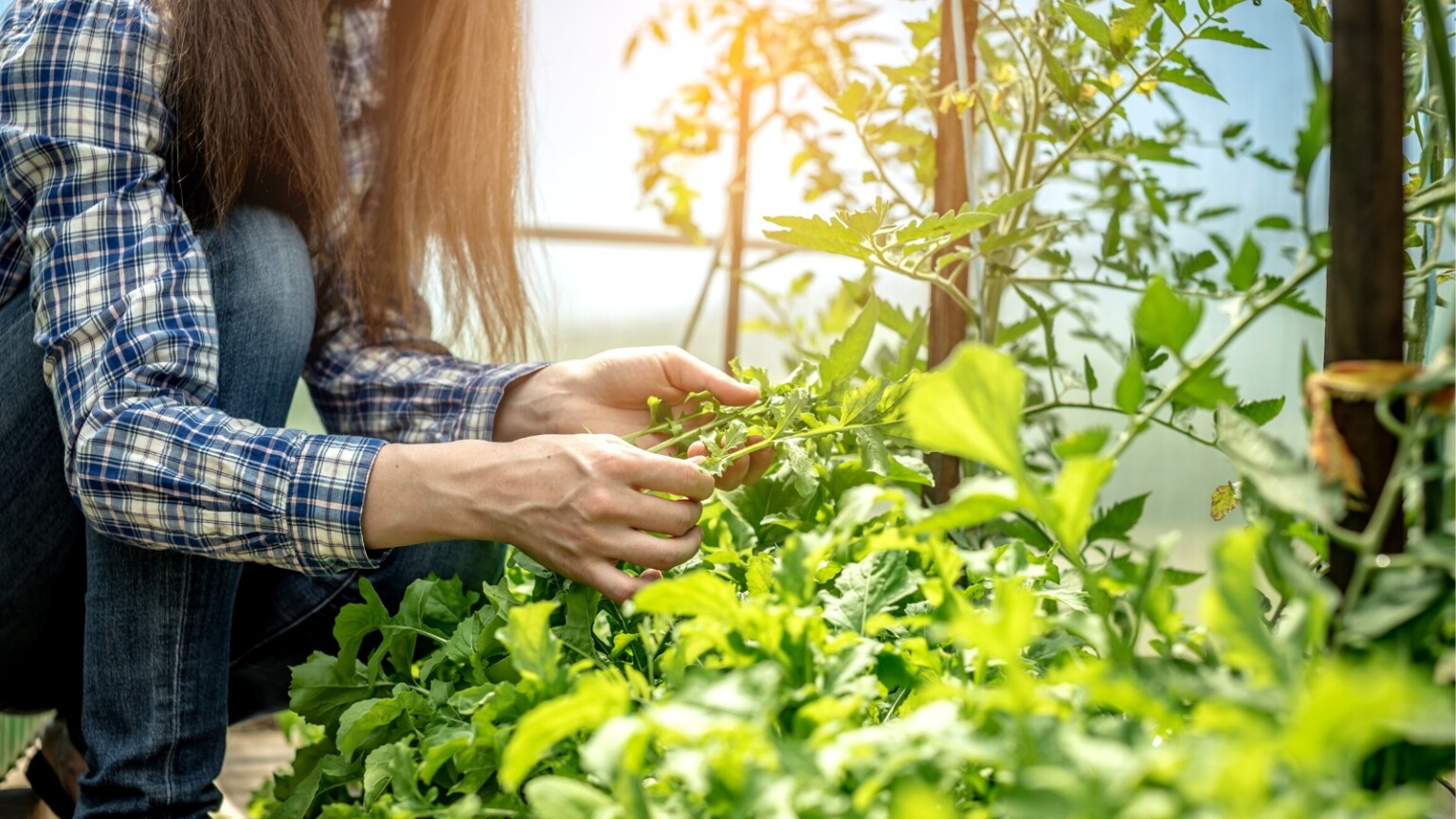 13 Ways to Make the Most of Your Short Growing Season