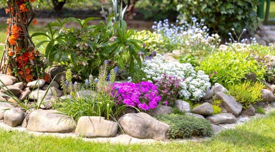 A Comprehensive Guide to Firewise Landscape Design
