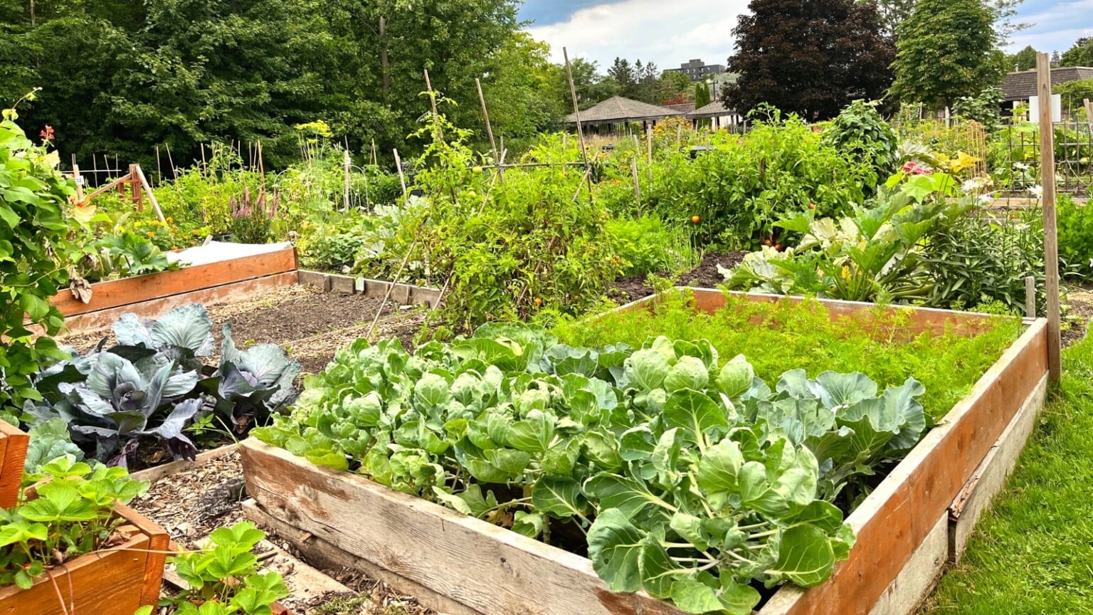 13 Ways to Make the Most of Your Short Growing Season