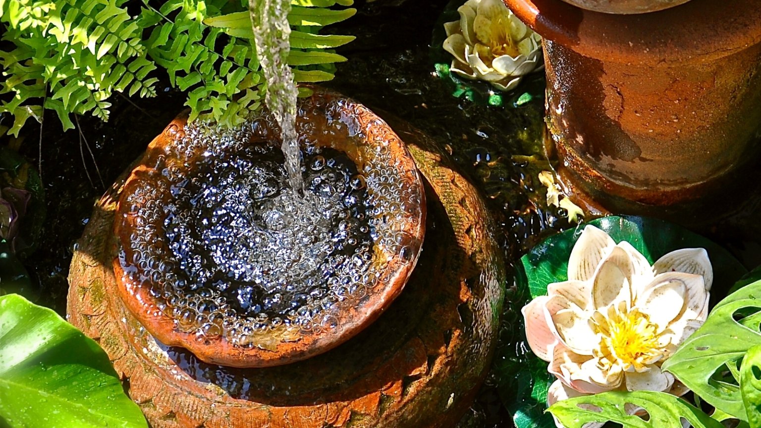 How and Why to Use an Olla to Water Your Garden