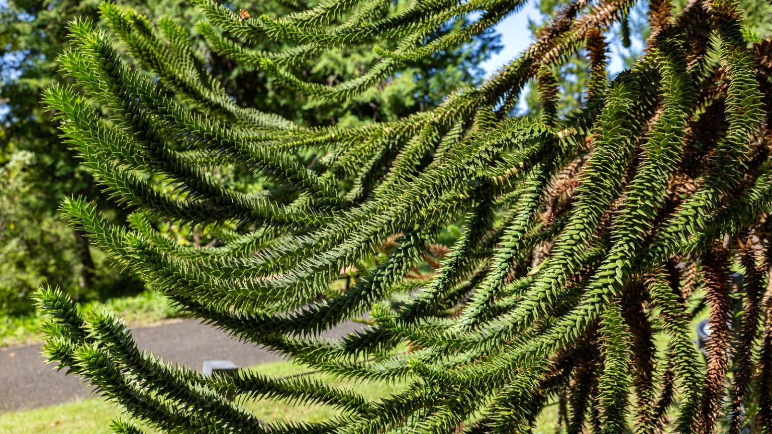9 Ancient Plants You Can Grow in Modern Gardens