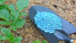 Slow-Release vs. Quick-Release Fertilizer: What's the Difference?