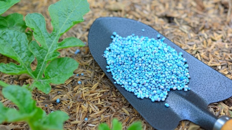 Slow-Release vs. Quick-Release Fertilizer: What's the Difference?