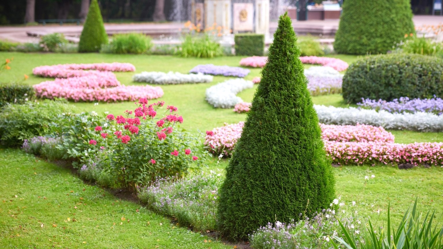 How to Make a Topiary in your Garden
