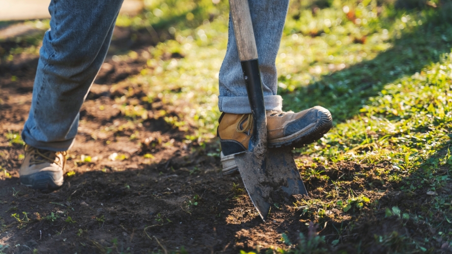 5 Ancient Gardening Methods that Work in the Modern Garden