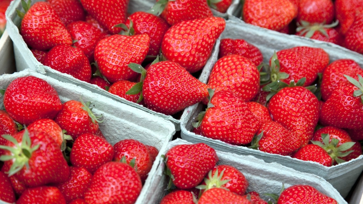 17 Best Strawberry Varieties For Growing at Home