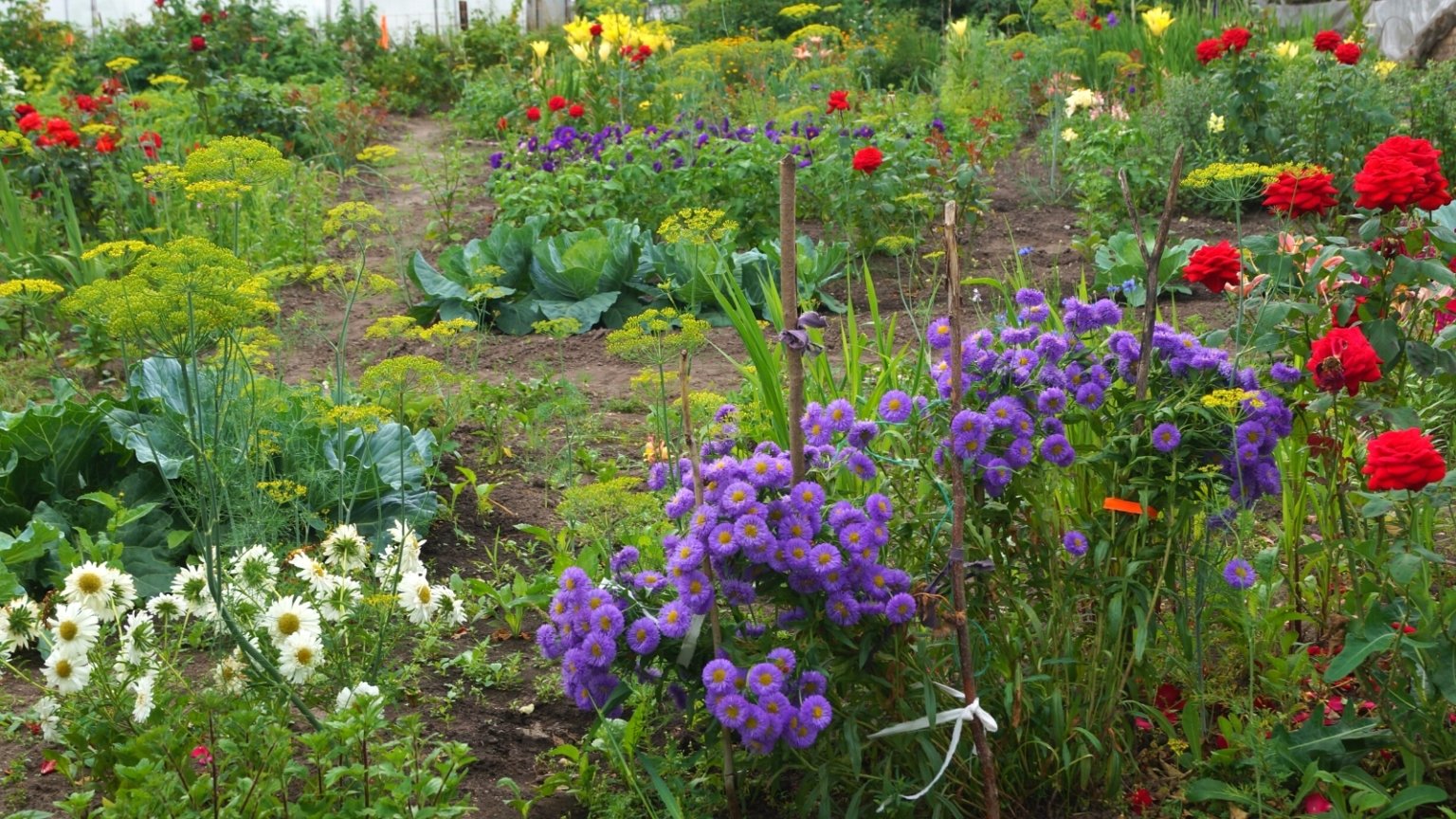 How to Use Azomite in the Garden