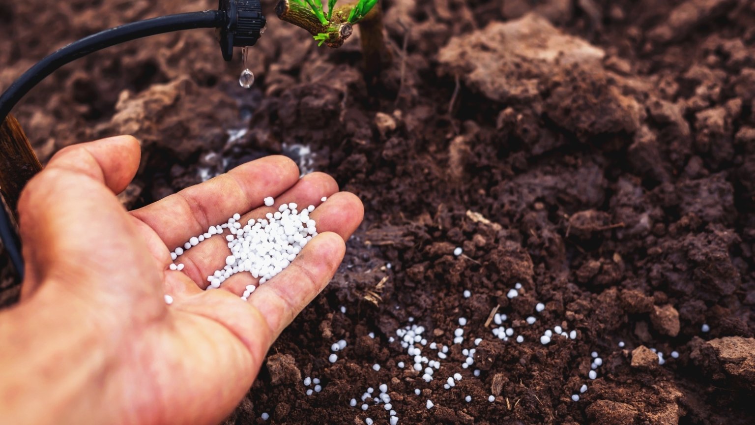 11 Tips for Fertilizing Your Garden this Spring