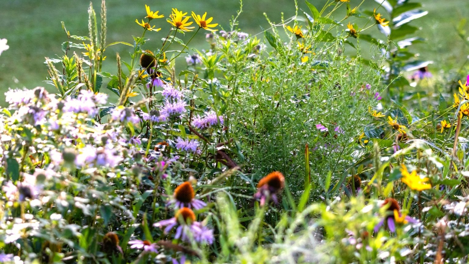 Which Growing Zones Are in Pennsylvania?