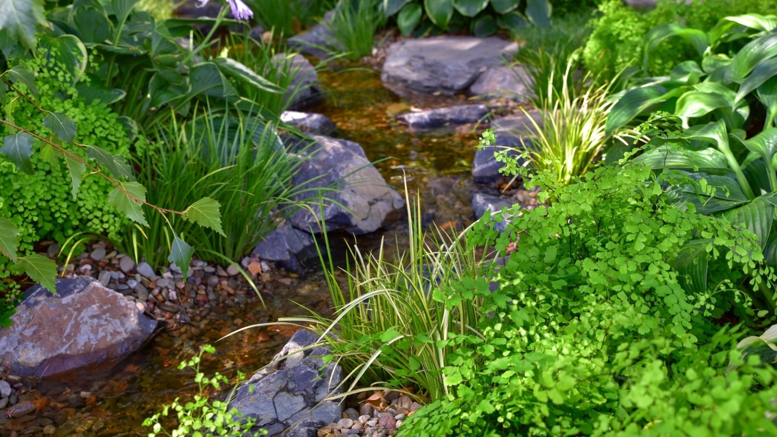 13 Beautiful Design Ideas for Rain Gardens