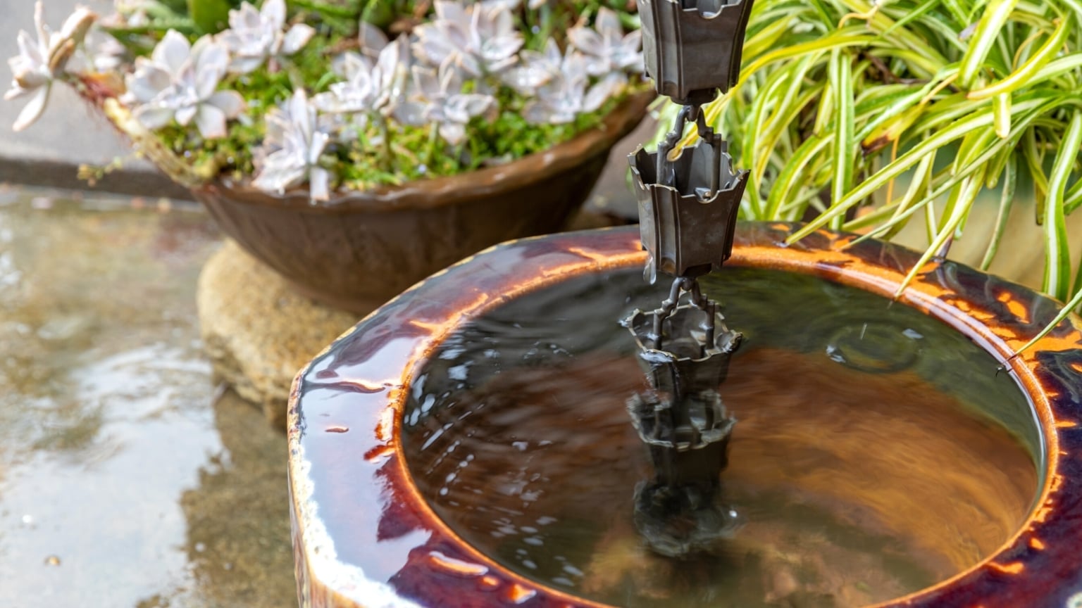 13 Beautiful Design Ideas for Rain Gardens