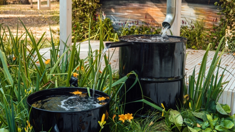 13 Beautiful Design Ideas for Rain Gardens