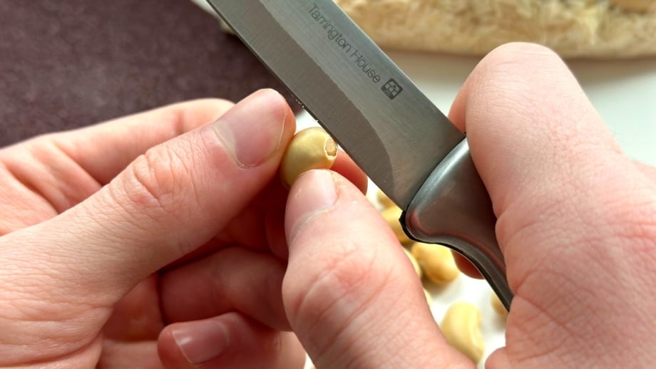 Seed Scarification: How to Scarify Seeds For Better Germination