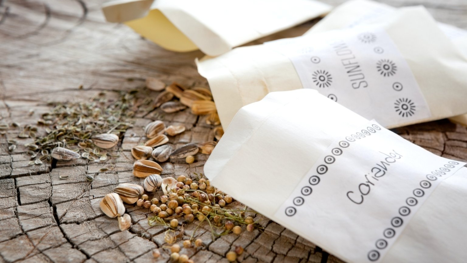 Soaking Seeds: What it Means if Seeds Sink or Float