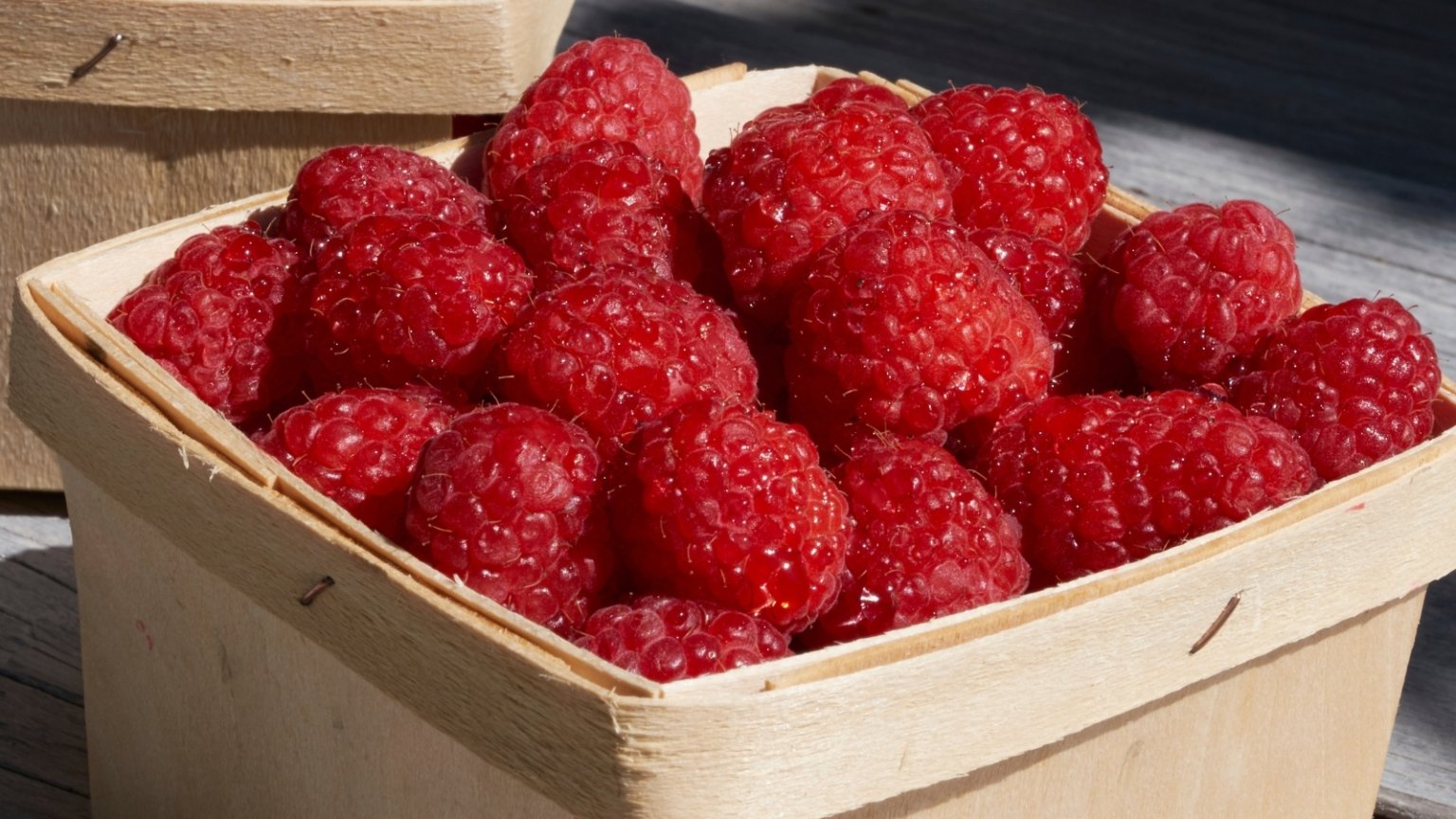 How to Plant, Grow, and Care for 'Heritage' Raspberries