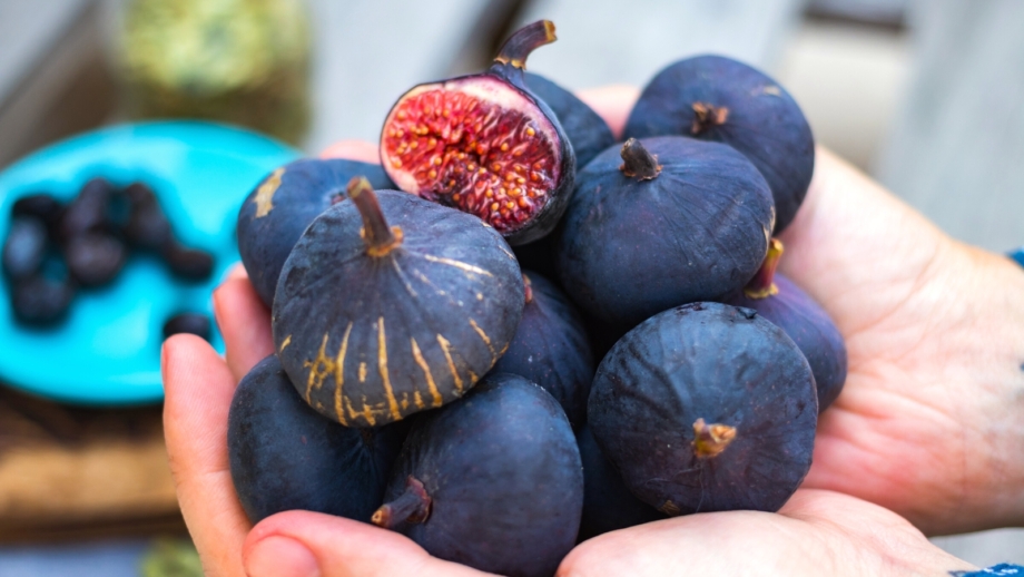 How to Plant, Grow, and Care For 'Black Mission' Fig Trees