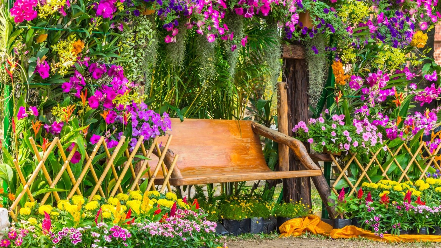 11 Tips for the Beginner Flower Gardener